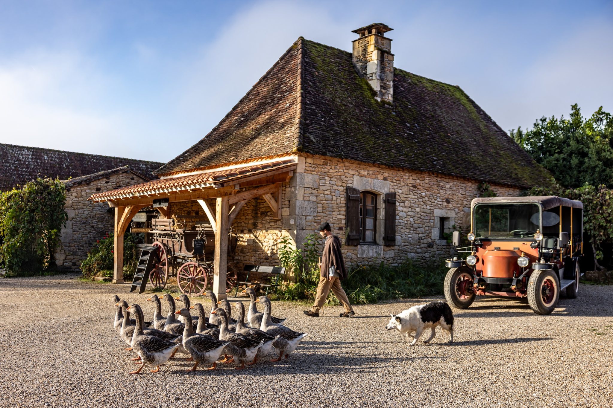 Parc du Bournat : le guide complet pour préparer sa visite
